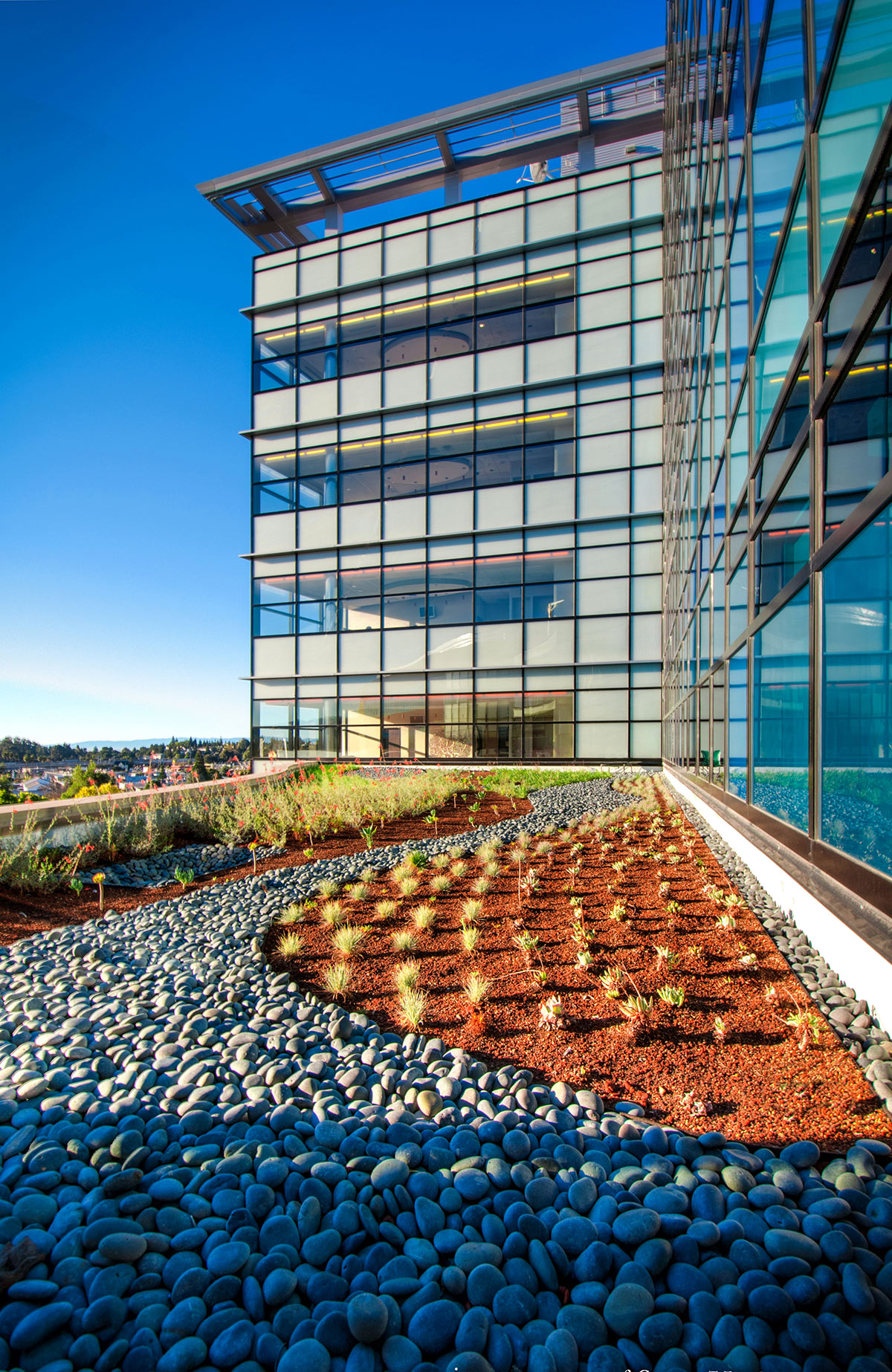 Sutter Health Eden Medical Center - Capital Engineering